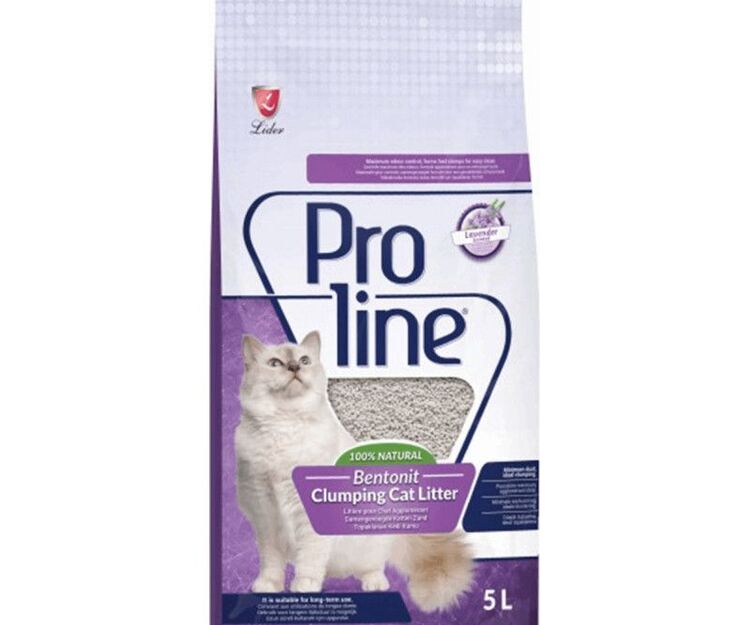 Kraikas katėms gera kaina internetu